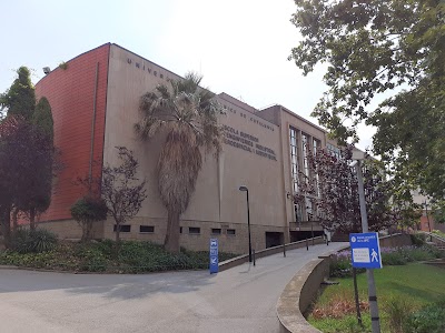 Top 10 Mejores Universidades en Terrassa - 2024