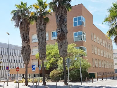 Top 10 Mejores Universidades en Terrassa - 2024